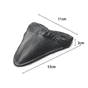 Megalodon Shark Tooth Fossil Giant Shark Tooth Megalodon Tooth Replica (Black)