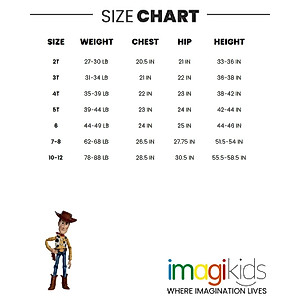 Disney Pixar Toy Story Woody Buzz Lightyear Jessie Toddler Girls T-Shirt and Shorts Outfit Set Toy Story Pink 2T