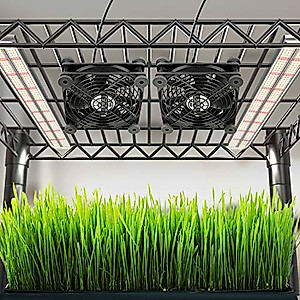 iPower Silent Dual 120mm USB Fan with Speed Controller for Indoor Plant Stand Shelf Ventilation Circulate Air
