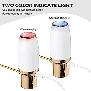 WINIRINA Automatic Wine Aerator Pourer Electric Smart Decanter，Dispenser Rechargeable with Micro USB Cable