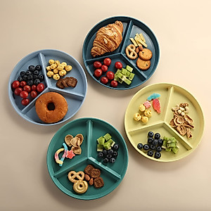 DLF. DONGLINFENG Adult Compartmentalized Dinner Plate 9.6 Inch Portion Control Wheat Plastic Dinner Plate (Portion Plate/Picnic Plate) 5 Colors