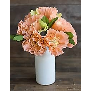 Lia Griffith Extra Fine Crepe Paper Folds Rolls, 10.7-Square Feet, Assorted Colors