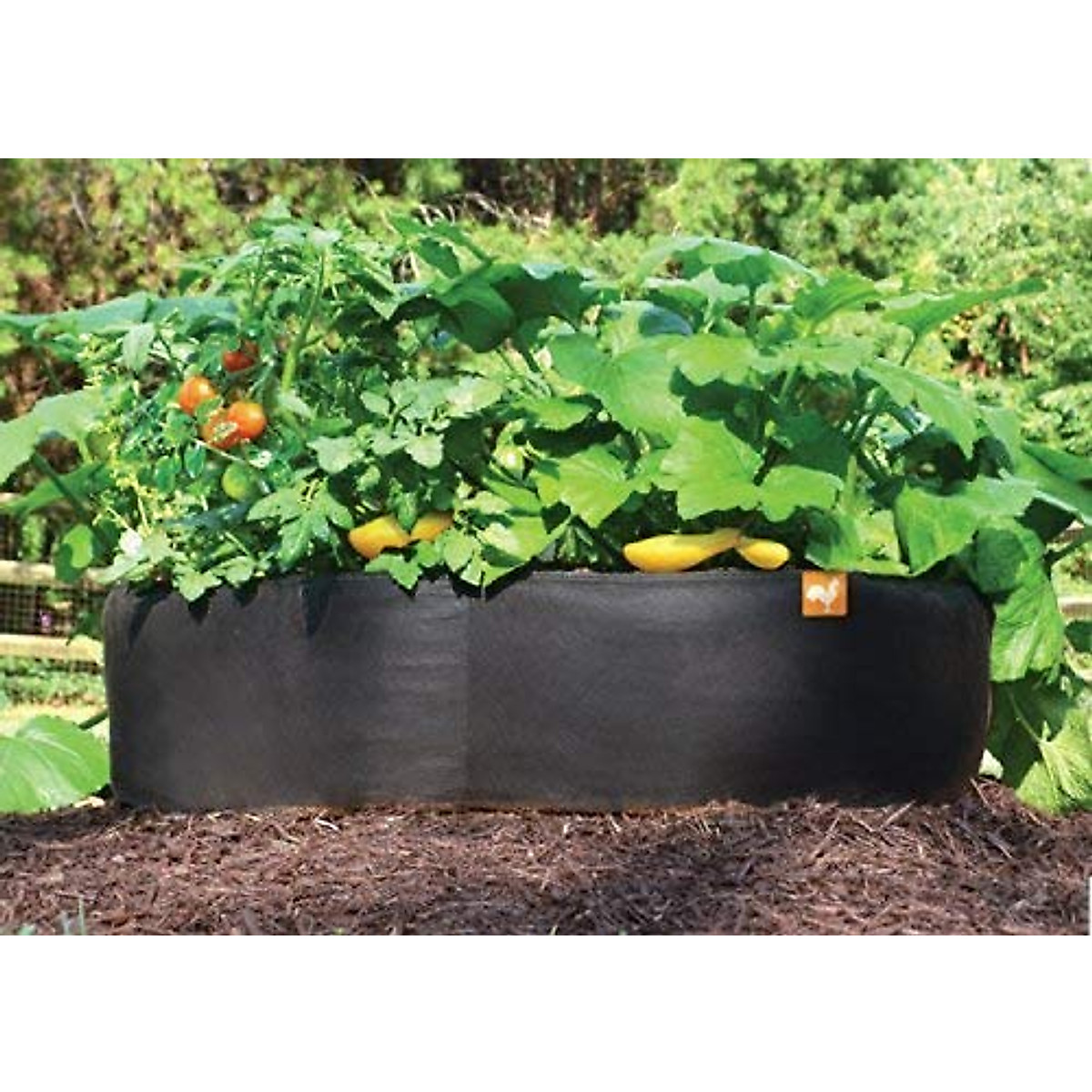 3 ft X 6 ft Victory 8 EZ-GRO Med Rectangle Raised Garden Bed Just Right Size AeroFlow Proprietary Fabric Grow Your OWN
