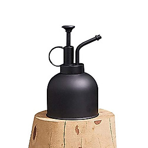 Lerpwige 300ml Mini Plant Flower Watering Can Sprayer Stainless Steel Pot For Sprayer Bottle