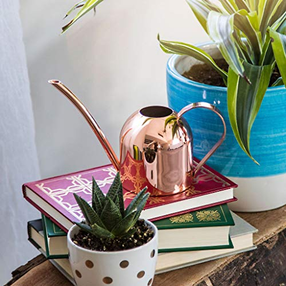 Smouldr Mini Plant Watering Can Indoor: Rose Gold Small Watering Can Helps You Water Tiny House Plants, Succulents, Bonsai or Herb Gardens - Steel Plant Waterer for Miniature Flower Pots - 15 Ounces