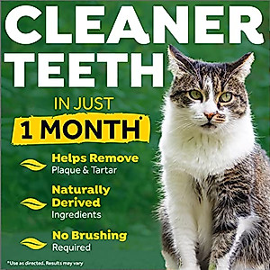 TropiClean Fresh Breath for Cats | No Brush Dental Gel for Cats | Cat Breath Freshener Toothpaste for Plaque, Tartar & Stinky Breath | Made in the USA | 2 oz.