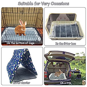Tfwadmx 100 Pcs Rabbit Pee Pads Guinea Pig Super Absorbent Cage Liners Bunny Disposable Black Carbon Diapers Small Animal Training Accessories with Quick-Dry Surface for Chinchilla Ferret Hamster