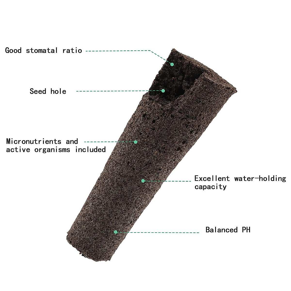 50pcs Grow Sponges, Replacement Grow Sponges Seed Root Growth Sponges for Planting Hydroponics Growing Sponge Compatible with Aerogardens Pod Sponges for Indoor Garden Hydroponics Growing System