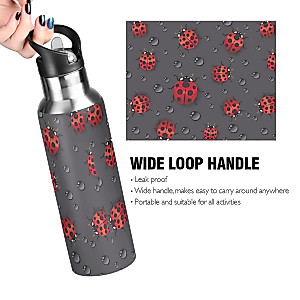 xigua Ladybug Water Bottle Double Walled Stainless Steel Leak Proof Thermo Flask for Sports Gym Cycling Outdoor,20 oz.