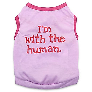 DroolingDog 6 Pieces Small Puppy T Shirt for Boy Dog Clothes Girl Puppy Shirts Breathable T-Shirt for Small Dogs Girls Boys Chihuahua Clothes Yorkie Tshirts