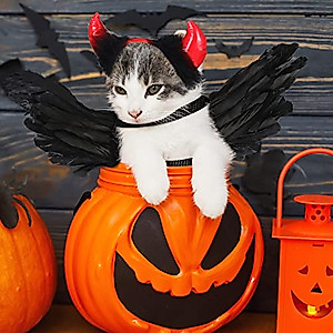 Vicenpal 2 Pcs Dog Devil Costume Halloween Pet Costume Devil Angel Black Wing Horn Headband for Middle Dog Cosplay Party Decoration Funny Gift Cute Pet Dress up Accessories