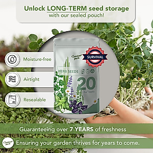 Garden Pack 20 Herb Seeds Variety Pack - 14,000 Non GMO Herb Seeds for Planting - Garden Seeds for Your Own Herb Garden