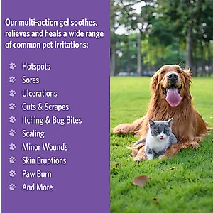 Sovereign Silver First Aid Gel for Pets - Topical Healing for Dogs and Cats, 2oz Pump Gel