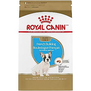 Royal Canin French Bulldog Puppy Dry Dog Food, 10.5 lb Bag