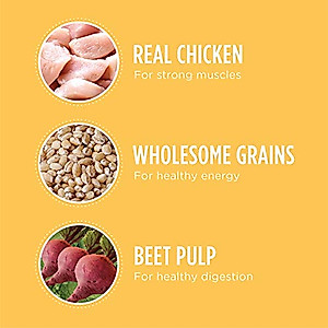 IAMS Smart Puppy Dry Dog Food with Real Chicken, 15 lb. Bag