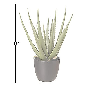 Amazon Basics Artificial Fake Agave Plant with Plastic Planter Pot , 16.9-Inch