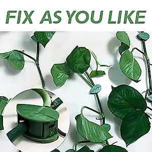 GOUWEIBA 80pcs Plant Wall Fixture Clips for Climbing Plants Invisible Vine Traction Support Holder with 100 Pieces Adhesive Stickers Fixing for Indoor Outdoor Garden Decorations (Green Leaf)