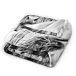 Ultra Soft Highland Cow Blanket, Portrait of Cattle Cow Throw Blanket, Warm Cozy Flannel Throw for All Seasons for Couch Bed Sofa 50"x40"