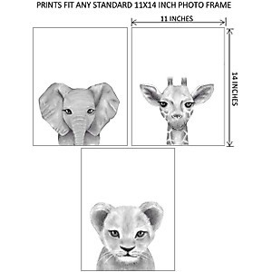 Set of 3 Baby Safari Animal Rustic Nursery Decor |11"x14"| Baby Giraffe, Lion, and Elephant Safari Animal Wall Art Set - Artwork for Outdoor Themed Gender Neutral Baby Girls or Boys