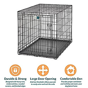 MidWest Homes for Pets Large Dog Crate | MidWest Life Stages Folding Metal Dog Crate | Divider Panel, Floor Protecting Feet, Leak-Proof Dog Pan | 42L x 28W x 31H Inches, Large Dog