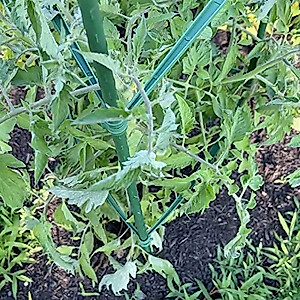 Garden Stakes 36 Inches Plastic Coated Hollow Steel Plant Stakes, Tomato Stakes, Pack of 25