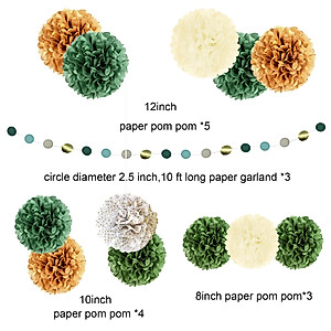 MEIYKO 15PCS Sage Green Tissue Paper Pom Poms with Paper Garland String Hanging Backdrop for Jungle Safari Woodland Baby Shower, Bridal Shower, Wedding Shower, Engagement, Birthday Party Decorations