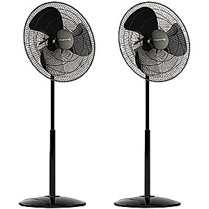 Westerly Oscillating Pedestal Fan, Adjustable Height, 3 Speeds, for Bedroom, Living Room, Home Office and College Dorm Room, 18", Black (2)