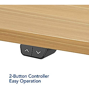 FLEXISPOT EC1 Height Adjustable Desk 55 x 28 inch Electric Standing Desk Whole-Piece Desk Board Stand Up Desk for Home Office (Gray Frame + 55" Natural Top)