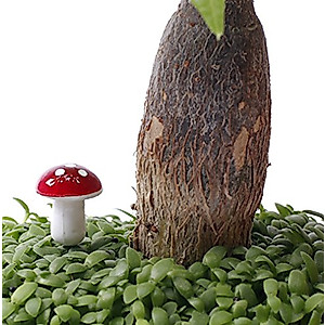 yueton Pack of 100 Mini Foam Mushroom for Garden Ornament Flower Pots Bonsai Micro Landscape Decor (Red)