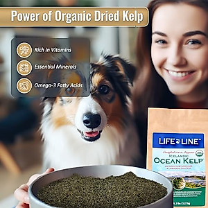 Organic Ocean KELP 5 LB