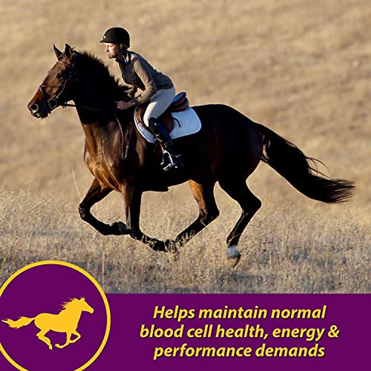 Horse Health Red Cell, Liquid Vitamin-Iron-Mineral Supplement for Horses, Helps Fill Important Nutritional Gaps in Horse's Diet, 1 Qt., 32 Oz., 16-Day Supply
