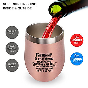 AtFlowerey 12 Oz Wine Tumbler with Lid Friendship Is Like Peeing Your Pants. Everyone Can See It, But Only You Feel The Warmth...thank You for Being Travel Tumbler Coffee Mug Housewarming Gifts