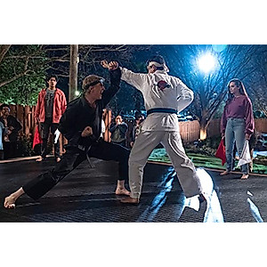 Cobra Kai Season 4 [DVD]