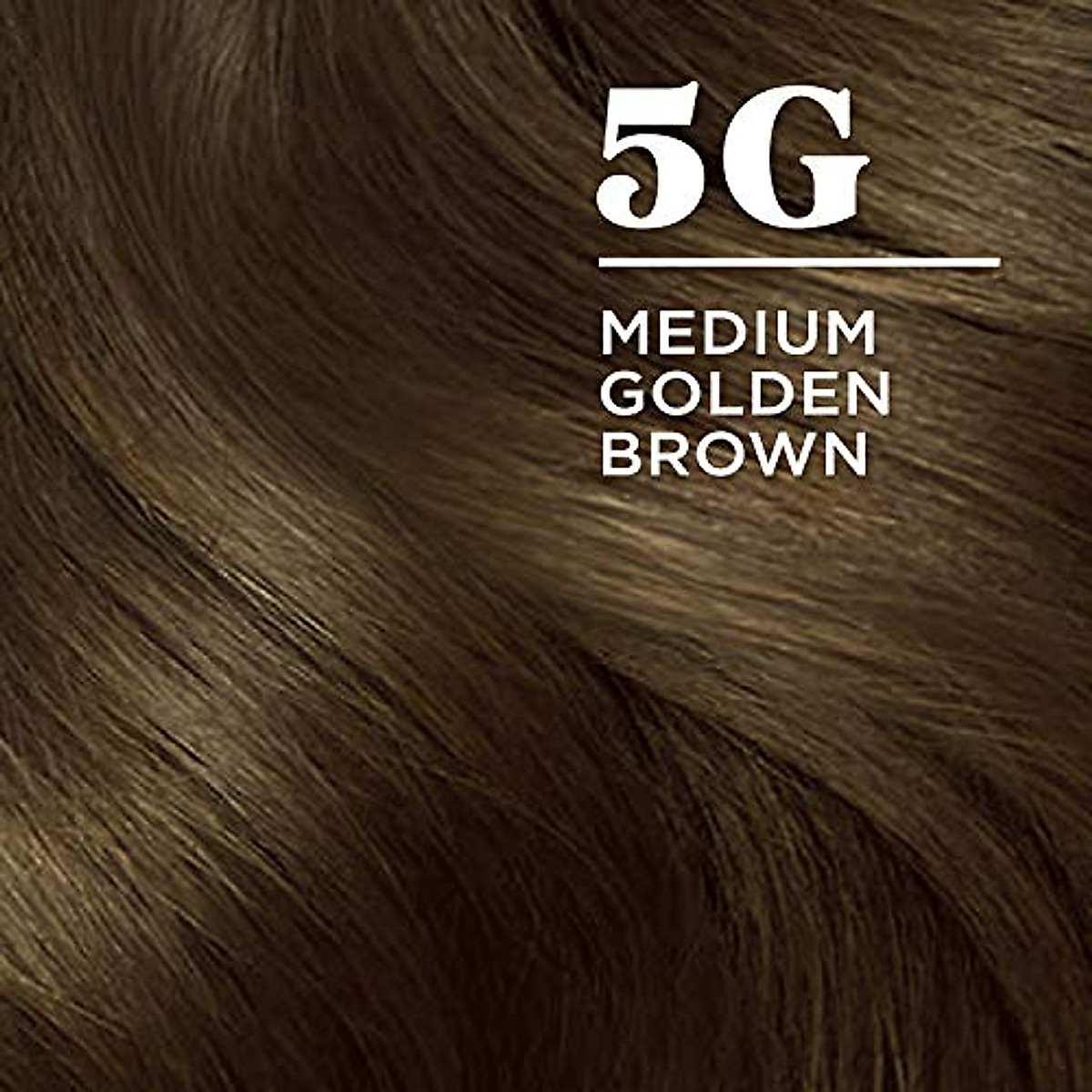 Clairol Nice'n Easy Permanent Hair Dye, 5G Medium Golden Brown Hair Color, Pack of 3
