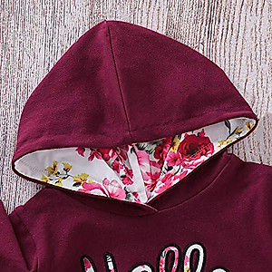 Camidy 1-5T Baby Girls Toddler Floral Hoodies Hooded Tops + Pants + Headband 3Pcs Outfits Clothes Set Purplish Red
