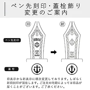 Sailor Fountain Pen Professional gear silver 112037420 Middle Point