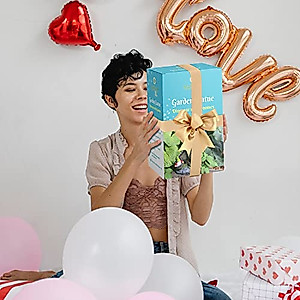 Malister 14 Inch Dinosaur Gnomes Garden Statues for Fall Winter Garden Decor, Garden Gnomes Statues Outdoor Decor, Outdoor Statues for Patio, Lawn, Yard Decorations Outdoor, Housewarming Garden Gifts