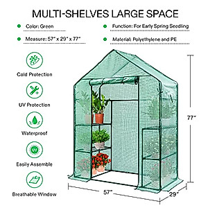 VIVOSUN 57 x 29 x 77-Inch Mini Walk-in Green House with Windows and Anchors, Plant Garden Hot House