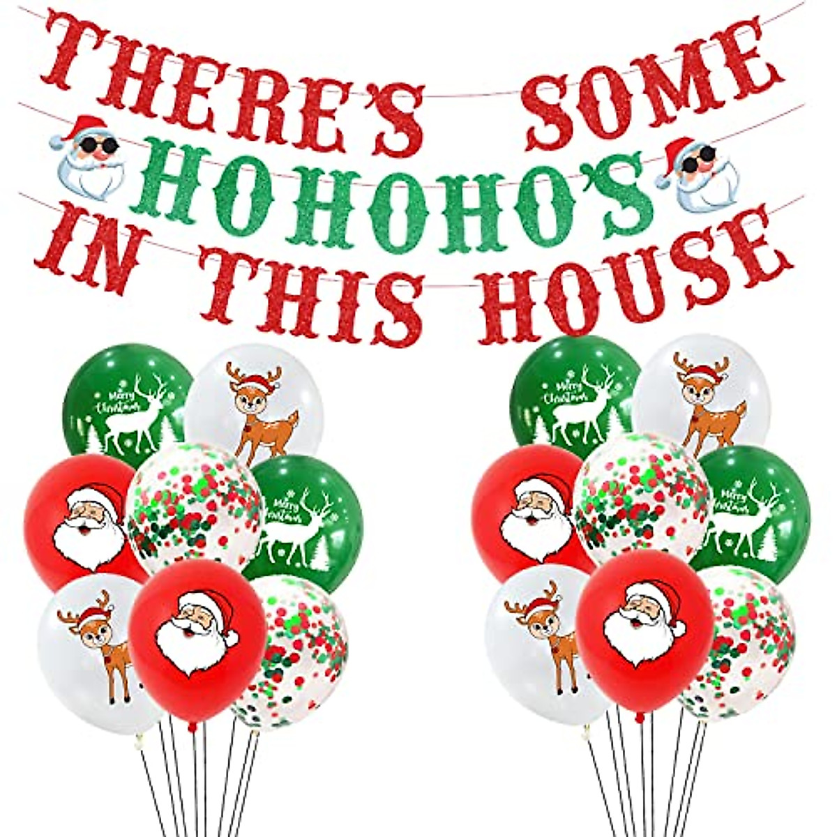 Funny Ho Ho Hos Christmas Banner & Balloon Decorations