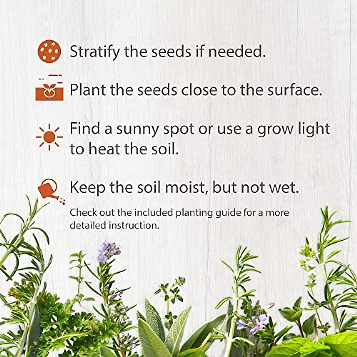 15 Heirloom Lettuce & Leafy Vegetable Seeds | 4000+ Seeds | Non GMO Seeds for Planting | Hydroponic Garden Seeds - Indoors or Outdoor