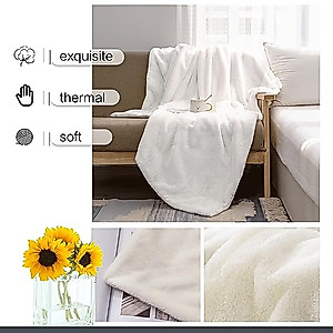 Polka Dots Throw Blanket for Couch,Titmouse Birds Pastel Friendship,Plush Fuzzy Cozy Soft Blankets and Throws for Sofa,Blue Grey Dust 50x60 Inches