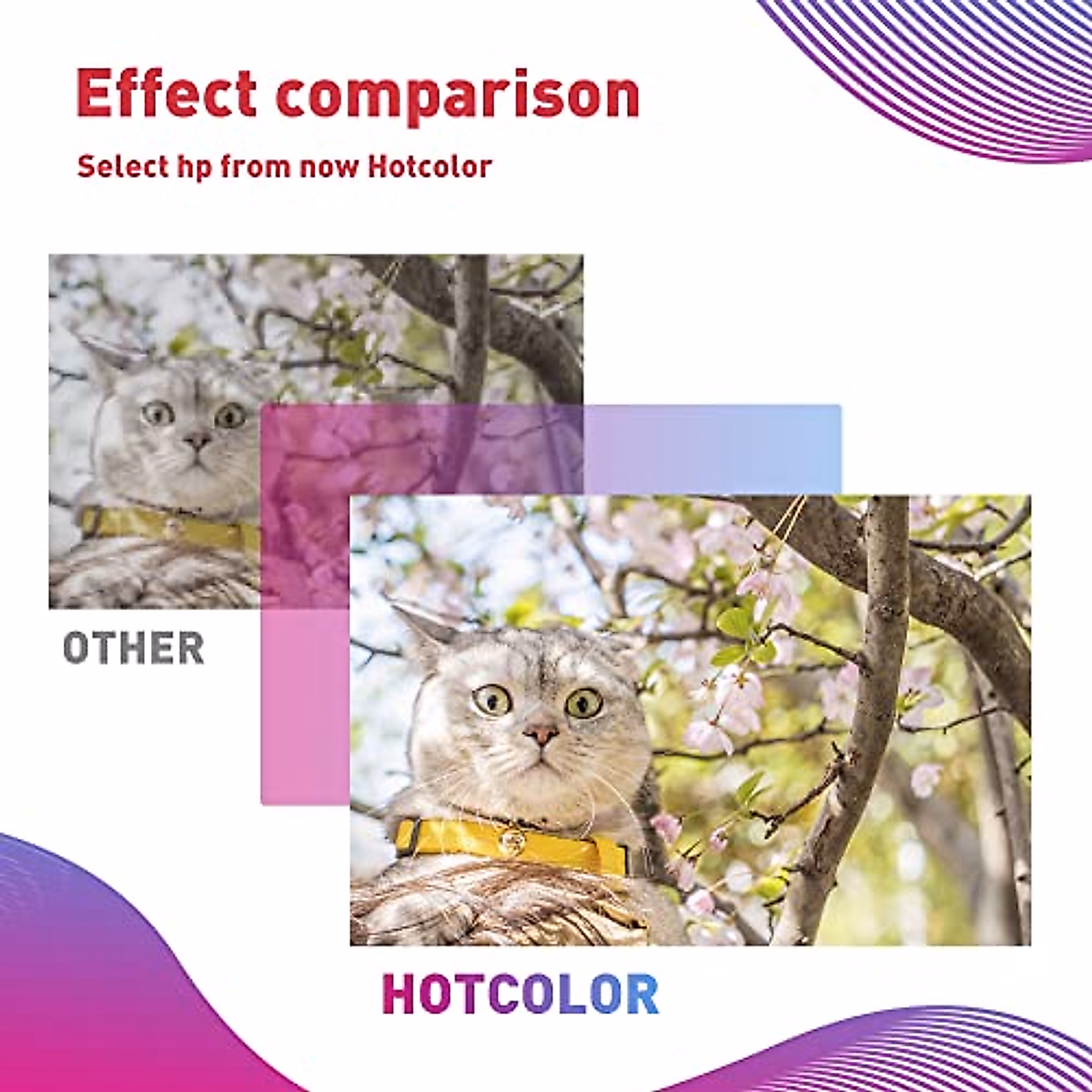 HOTCOLOR Printer Ink 243 244 Replacement for Canon Ink 243 and 244 PG 243 CL244 for Canon PIXMA TR4520 MX492 MG3020 MG2520 (1Black/1Tri-Color, 2Pack)