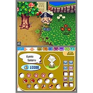 Animal Crossing: Wild World (Renewed)