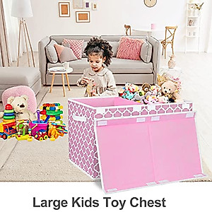 homyfort Toy Chest Box for Boys,Girls, Kids with Divider, Large Collapsible Storage Bins Container with Flip-Top Lid for Nursery, Playroom, Closet, Home Organization, 24.5"x13" x16" (Pink and Blue)