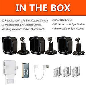 256GB Blink USB Flash Drive and Blink Outdoor Camera Mount, 3 Pack Camera Housing and 360° Adjustable Mounting Bracket with Blink Sync Module 2 Mount(Blink Camera and Module are Not Included)