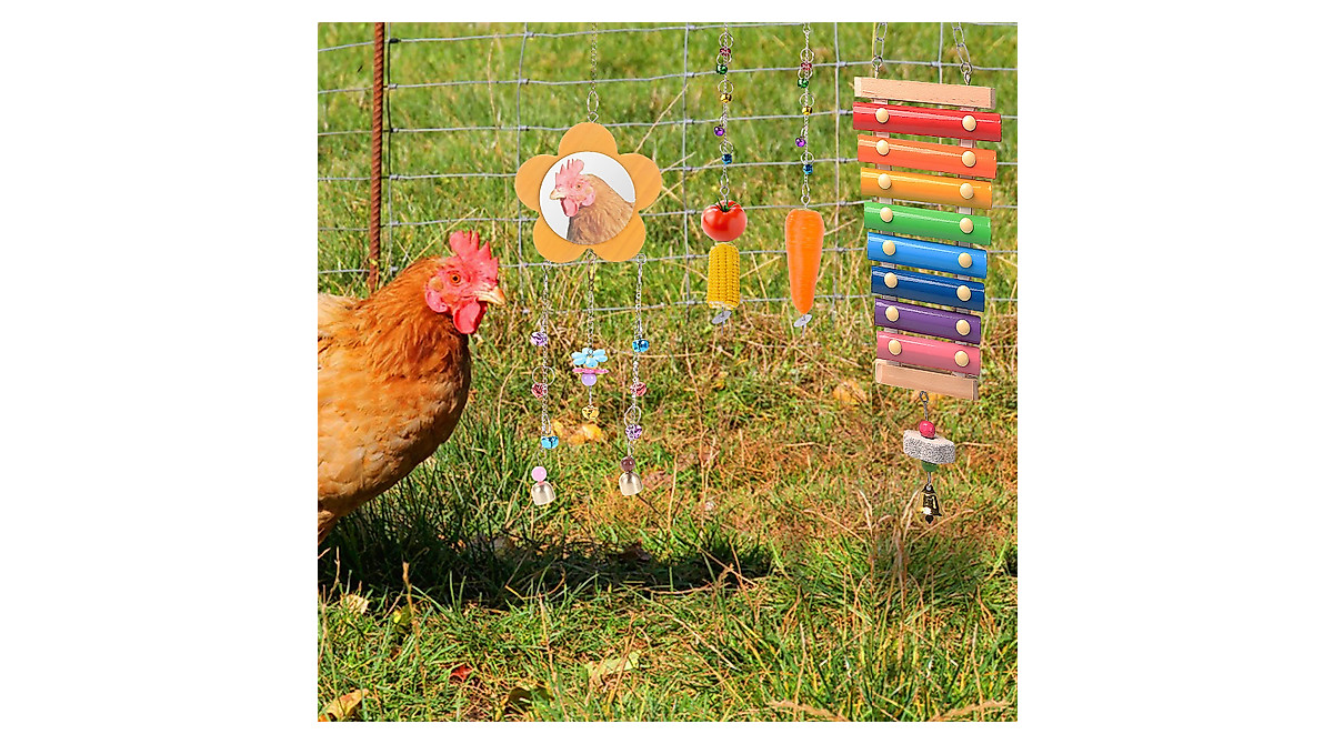 KAKUNM 6PCS Chicken Toys for Fun and Health