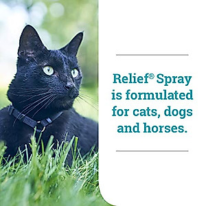 Relief Spray, temporary relief of itching and flaking, for dogs, cats and horses, 8 oz