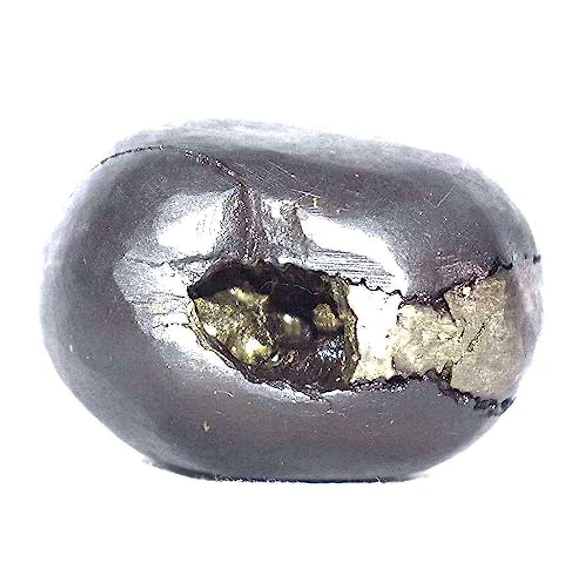 Rudrakshguru Laxmi Narsimha Shaligram