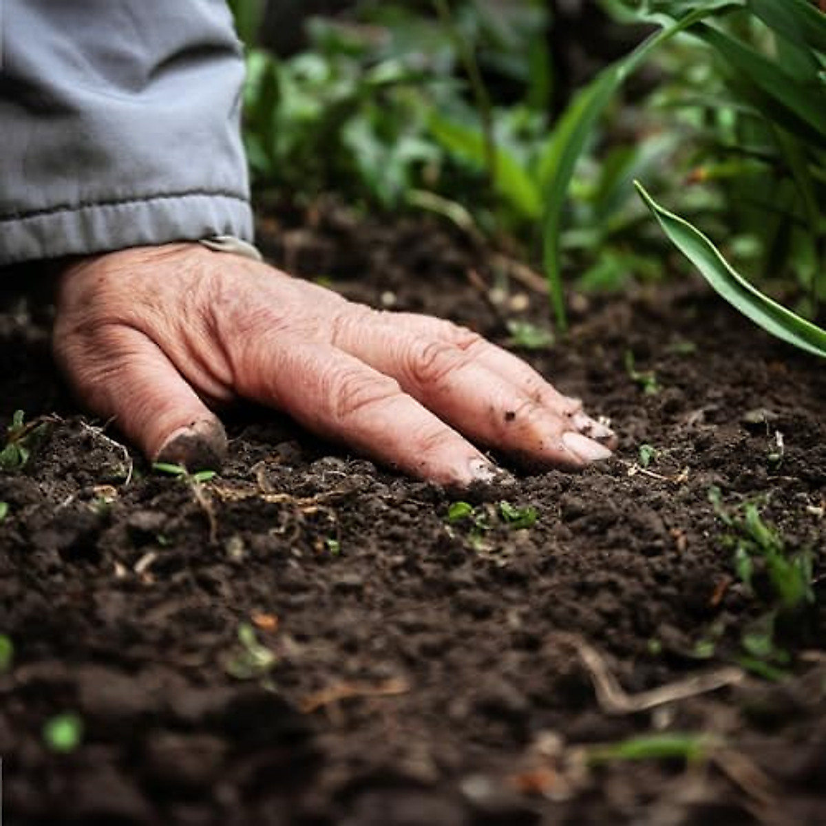 SuperMoss 01999 Agromin Organic Recycled Green Material Potting Mix, 4 Quart, Natural