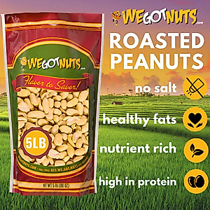 Peanuts Dry Roasted Unsalted, Blanched, 5 Pound Bulk Bag - We Got Nuts,